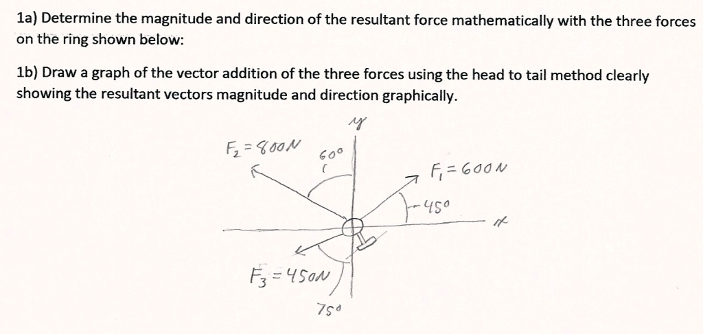 SOLVED: 1a) Determine the magnitude and direction of the resultant force mathematically with the ...