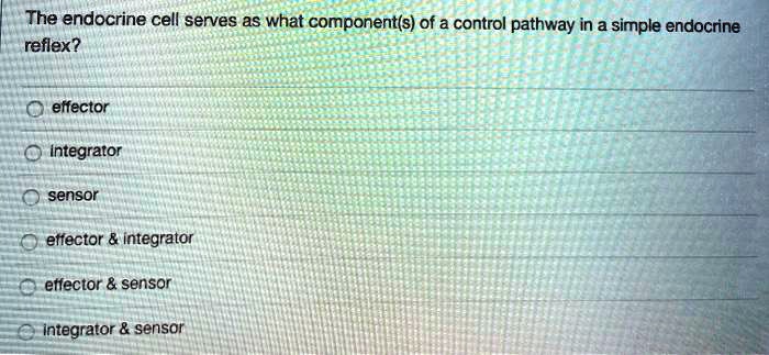 SOLVED: The endocrine cell serves as which component(s) of a control ...