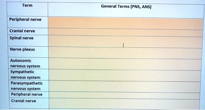 SOLVED: Term General Terms (PNS, ANS) Peripheral nerve Cranial nerve ... SOLVED: Term General Terms (PNS, ANS) Peripheral nerve Cranial nerve ...
