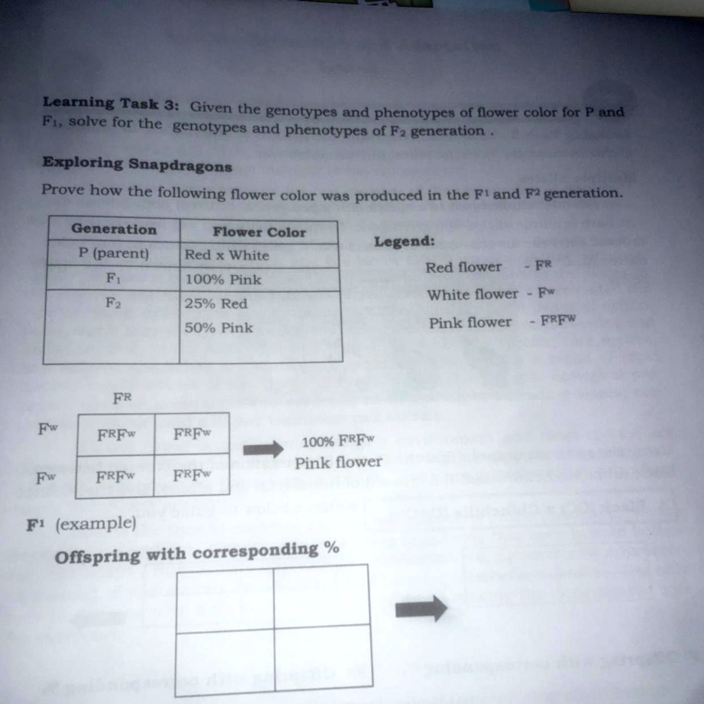 Learning Task 3: Given the genotypes and phenotypes of flower color for ...