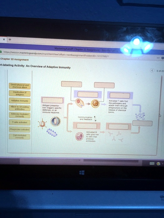 SOLVED: +x Chapter 22 Assignment rt-labeling Activity:An Overview of ...