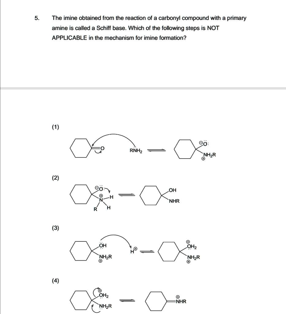 SOLVED: 5. The imine obtained from the reaction of a carbonyl compound ...