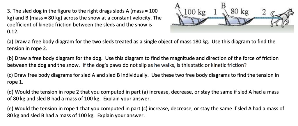 SOLVED: A B 100 kg 1 80 kg 3. The sled dog in the figure to the right ...