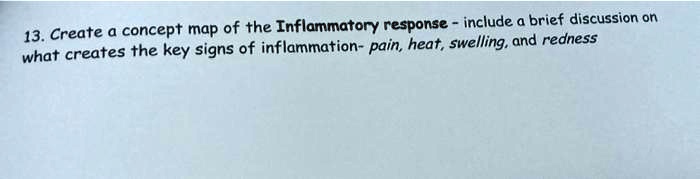 SOLVED: create a diagram or flow chart or concept map please 13.Create ...