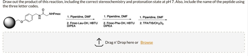 SOLVED: Draw out the product of this reaction, including the correct ...