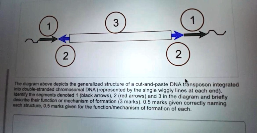 The diagram above depicts the generalized structure of a cut-and-paste ...