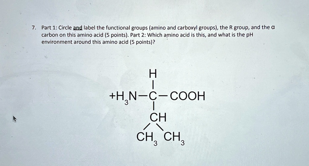 7 part 1 circle and label the functional groups amino and carboxyl ...
