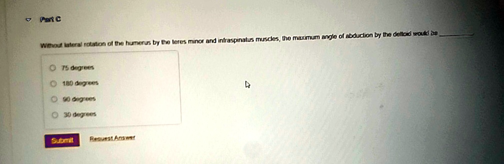 Part C Without lateral rotation of the humerus by the teres minor and ...