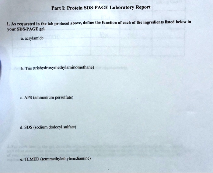 part i protein sds page laboratory report 1 as requested in the lab ...