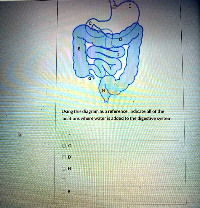 SOLVED: Using this diagram as a reference, indicate all of the locations where water is added to ...