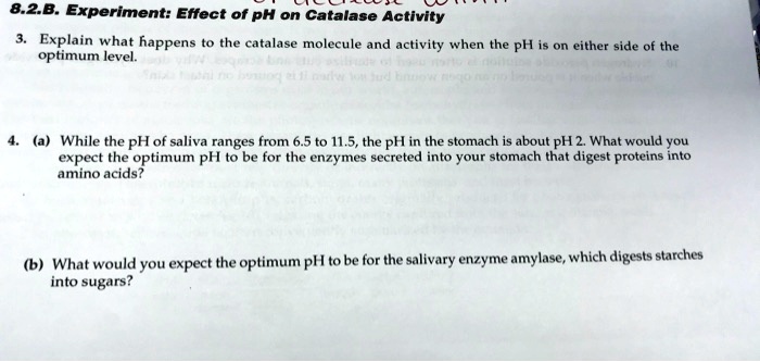SOLVED: 8.28. Experiment: Effect of pH on Catalase Activity Explain ...