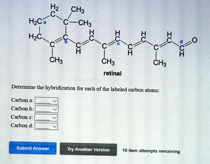 SOLVED: CH3 CH3 I H2C 8 H CH3 retinal H2C OI CH3 CH3 Determine the hybridization for each of the ...