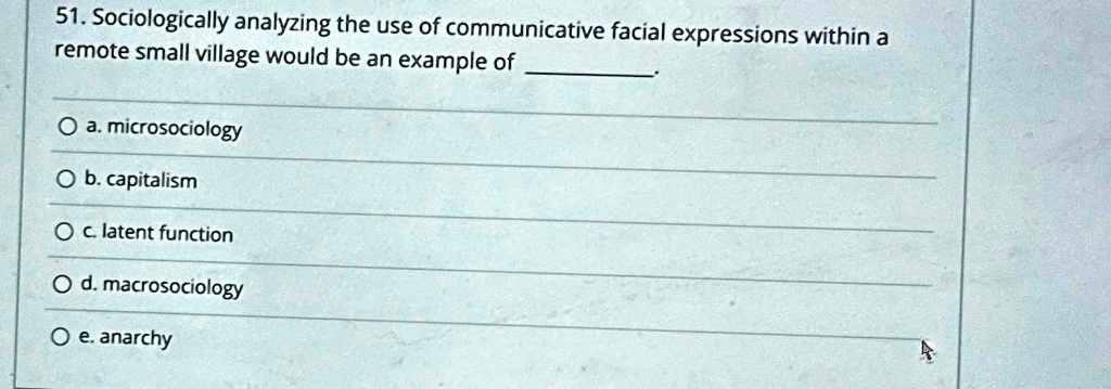 51. Sociologically analyzing the use of communicative facial expressions within a remote small ...
