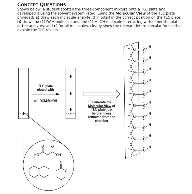 CONCEPT QUESTIONS Shown below, a student spotted the three-component ...
