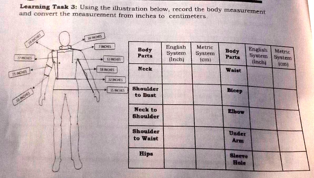 Learning Task 3: Using the illustration below, record the body ...