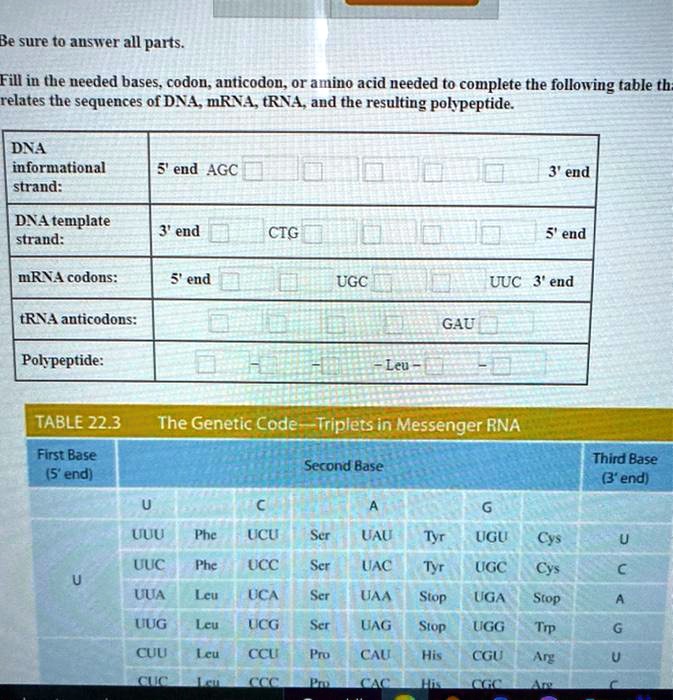 Fill in the needed bases. codon, anticodon, or amino acid needed to ...