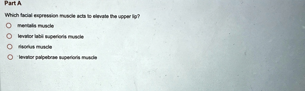 Part A Which facial expression muscle acts to elevate the upper lip ...