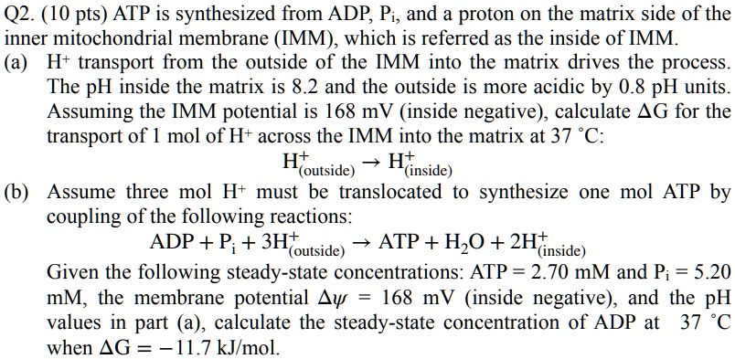SOLVED: Q2. (10 pts) ATP is synthesized from ADP, Pi, and a proton on the matrix side of the ...