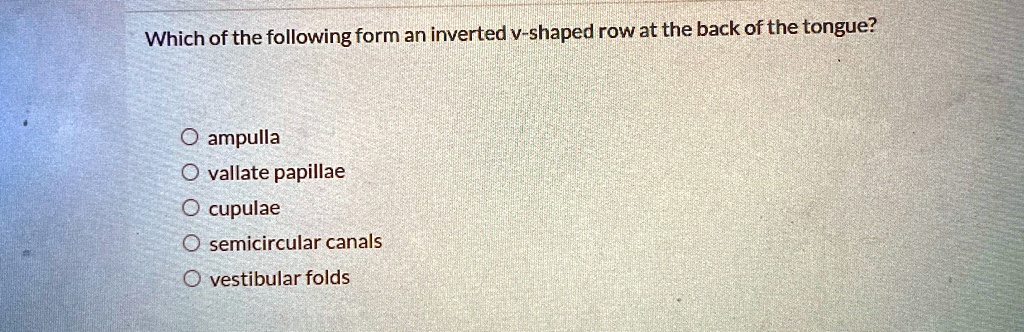 which of the following form an inverted v shaped row at the back of the ...