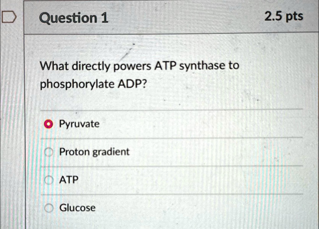 Question 1 What directly powers ATP synthase to phosphorylate ADP? • Pyruvate Proton gradient ...