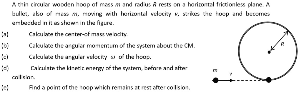 SOLVED: A thin circular wooden hoop of mass m and radius R rests on a horizontal frictionless ...