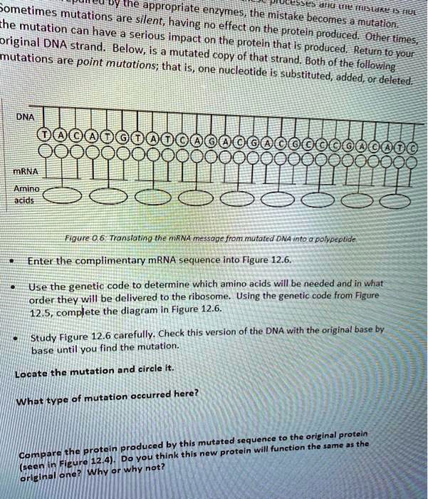 yatne ometimes mutations appropriate jlu are silent enzymes the mistake ...