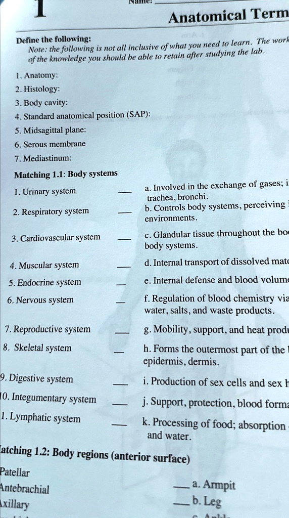 Anatomical Term Define the following: 1. Anatomy 2. Histology 3. Body ...