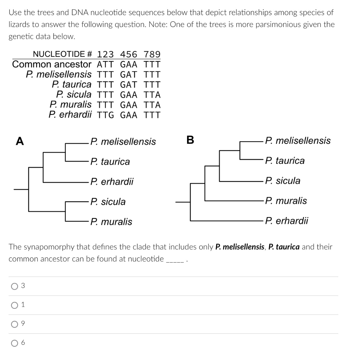 SOLVED: Use the trees and DNA nucleotide sequences below that depict relationships among species ...