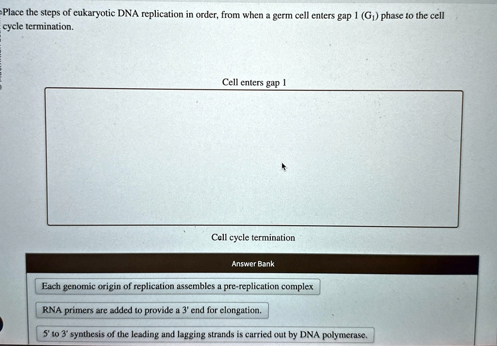 place the steps of eukaryotic dna replication in order from when a germ ...