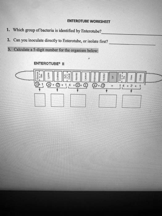 SOLVED: ENTEROTUBE WORKSHEET Which group of bacteria is identified by ...