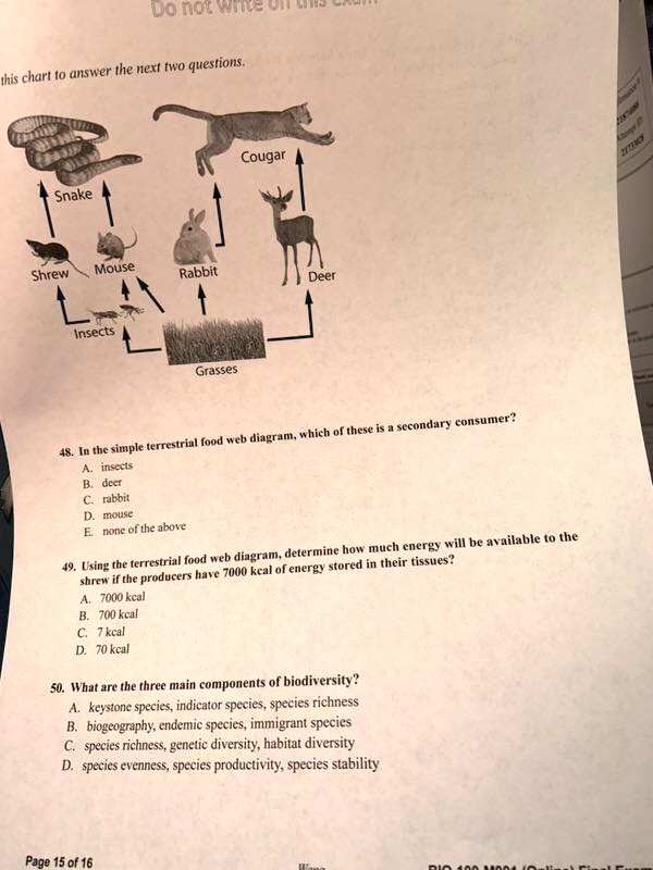 Do not White Ol this chart to answer the next two questions. Cougar ...