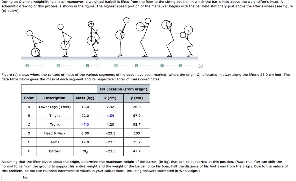 SOLVED: During an Olympic weightlifting snatch maneuver, a weighted ...