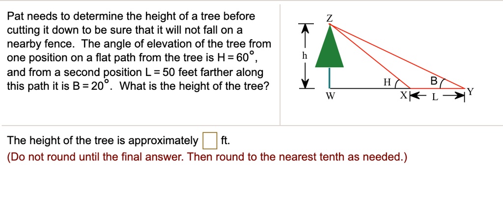 SOLVED: Pat needs to determine the height of a tree before cutting it ...