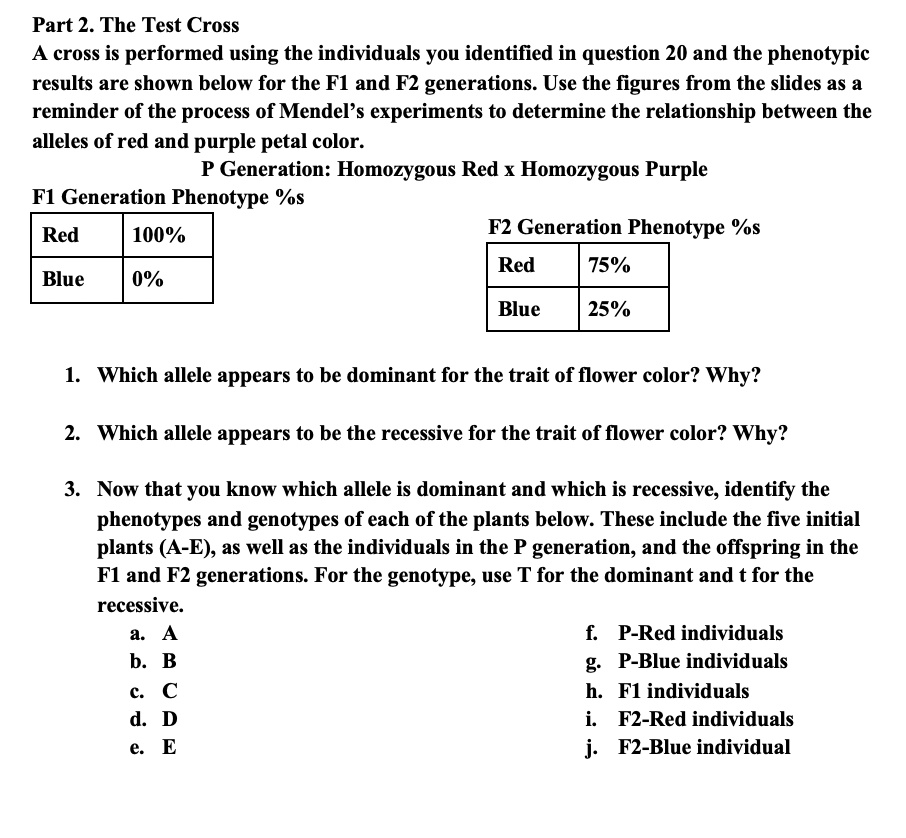 Part 2. The Test Cross A cross is performed using the individuals you ...