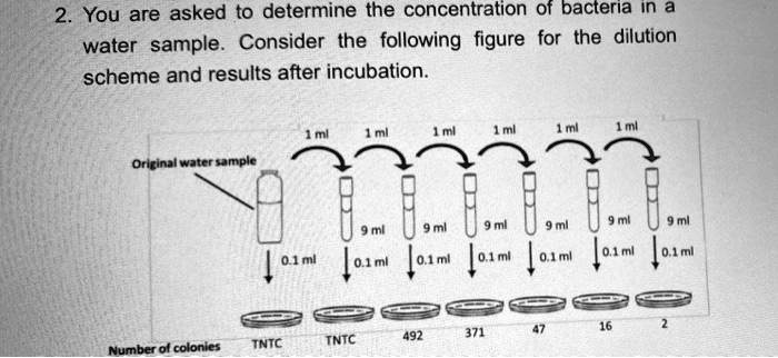 SOLVED: Calculate the number of colony-forming units (CFU)/ml of the ...