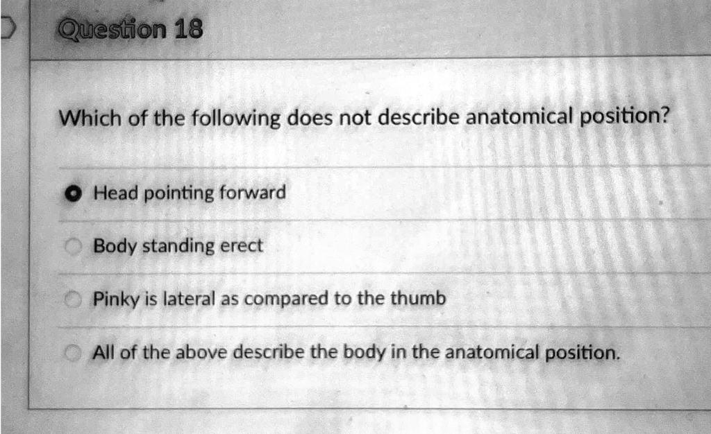 Question 18 Which of the following does not describe anatomical ...