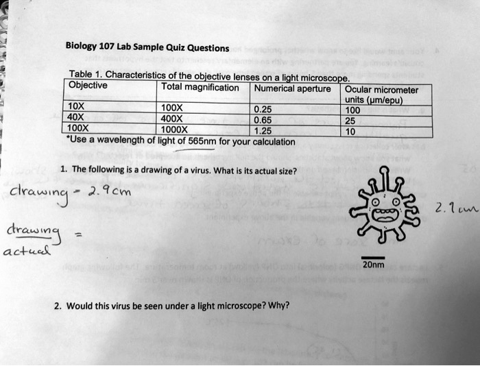 Biology 107 Lab Sample Quiz Questions Table Characteristics Of The Objective Lenses On A Light