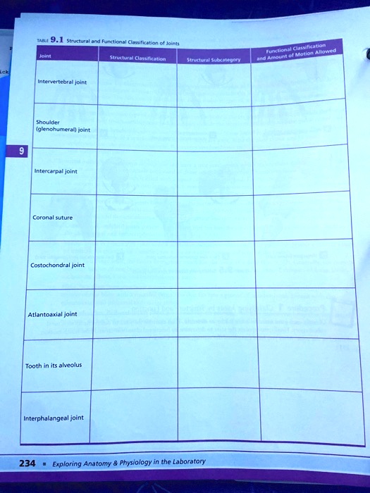 SOLVED: Structural Classification Intervertebral joint Shoulder ...