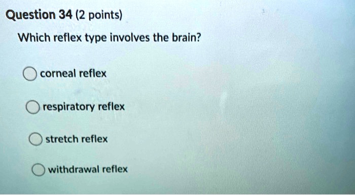 SOLVED: Question 34 (2 points) Which reflex type involves the brain ...