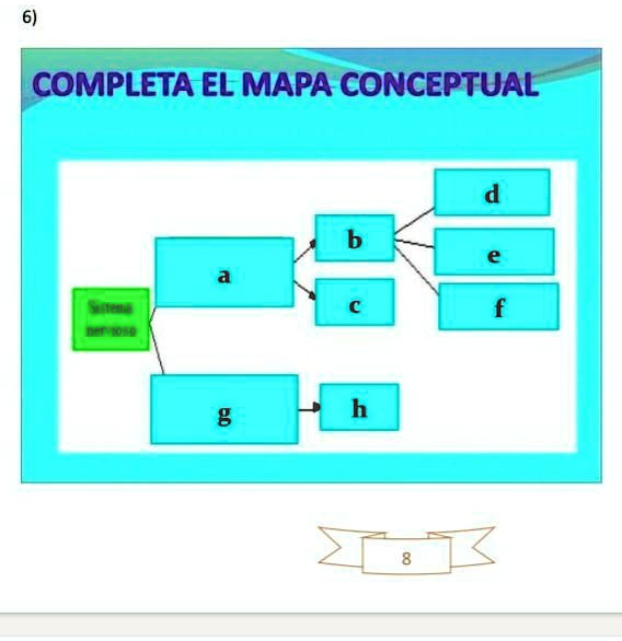 SOLVED: completa el mapa conceptual ayuden porfavor COMPLETA EL MAPA ...