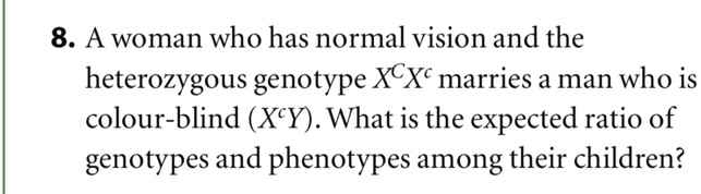 8 a woman who has normal vision and the heterozygous genotype xcxc ...