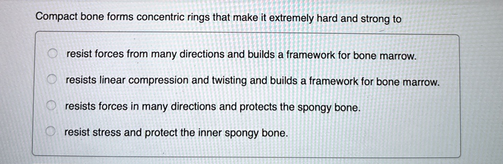 compact bone forms concentric rings that make it extremely hard and ...