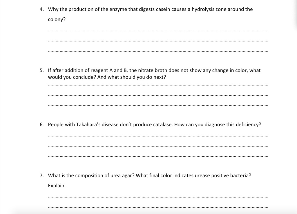 SOLVED: Why does the production of the enzyme that digests casein cause ...