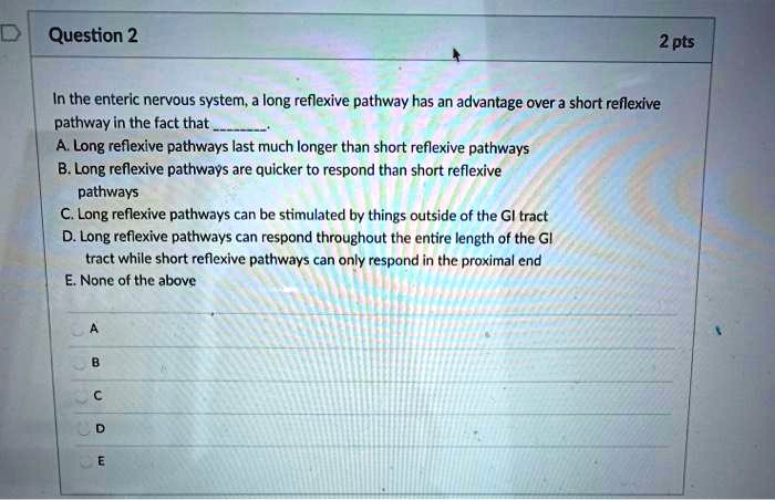 SOLVED: In the enteric nervous system, a long reflexive pathway has an advantage over a short ...