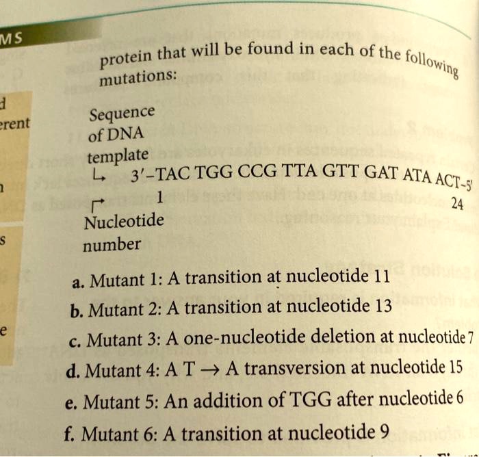 SOLVED: MS protein that will be found in each of the following mutations: Sequence of DNA ...