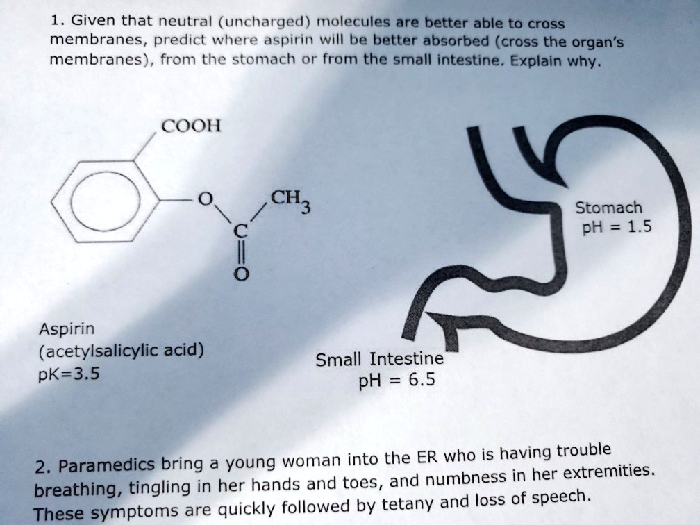 Solved1 Given That Neutral Uncharged Molecules Are Better Able To Cross Membranes Predict