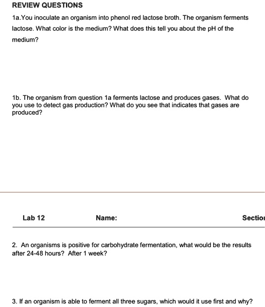 REVIEW QUESTIONS 1a. You inoculate an organism into phenol red lactose ...
