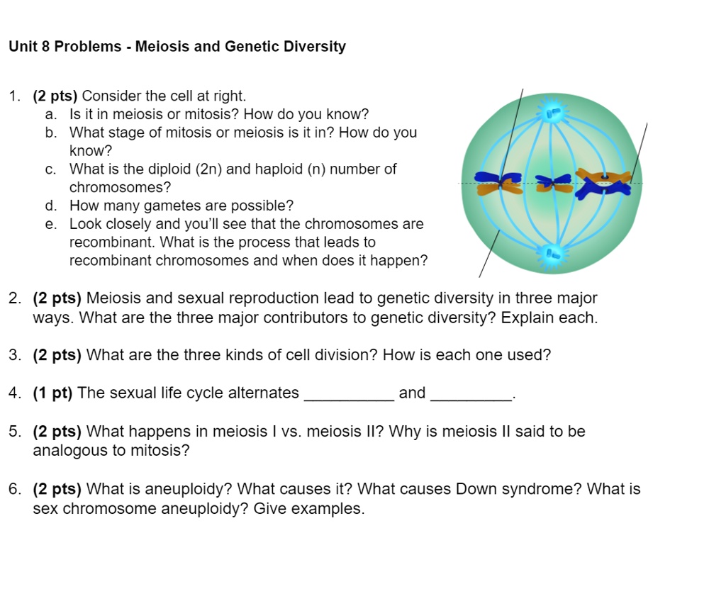 SOLVED: Unit 8 Problems Meiosis and Genetic Diversity (2 pts) Consider ...