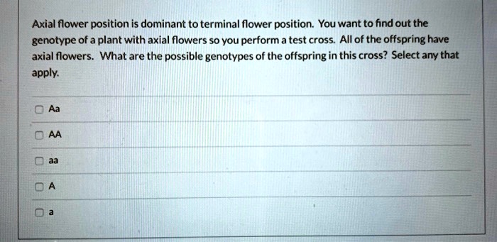 axial flower position is dominant to terminal flower position you want ...