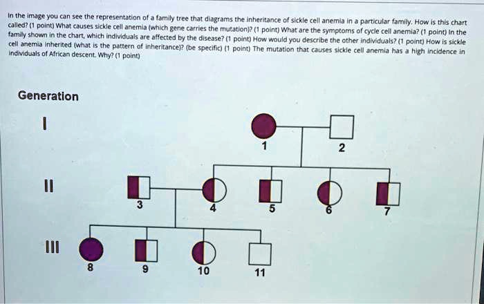 In the image, you can see the representation of a family tree that ...
